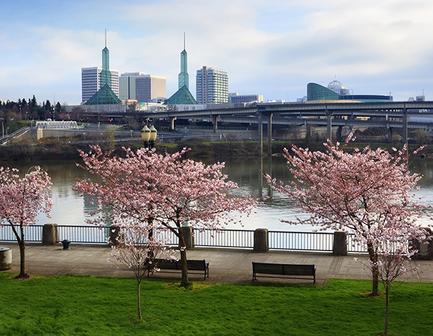 Educators & Oregon PERS Financial Advisors | Illuminate Financial Group